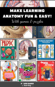 Hate Memorization? How To Learn Anatomy by simply Playing